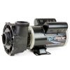 2021’s Best Spa Pumps: Top 8 Picks Reviewed & Buying Guide | The Rex Garden