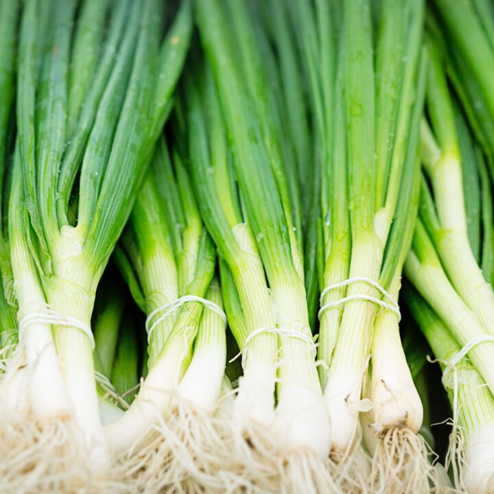 How To Grow Spring Onions | The Rex Garden
