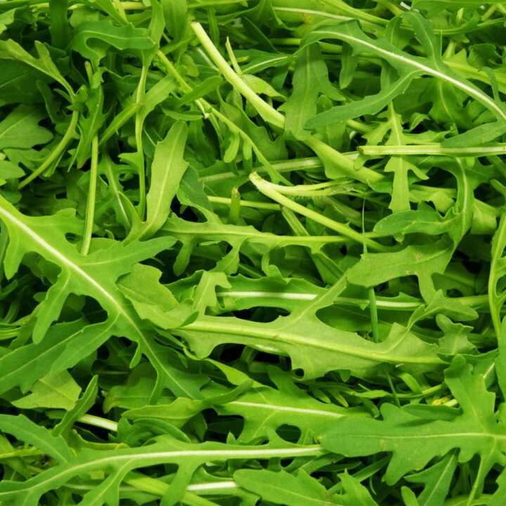 10 Best Companion Plants For Arugula | The Rex Garden