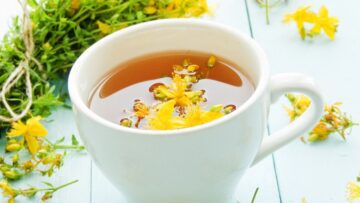 Hypericum: A Comprehensive Guide to the Versatile Plant Genus