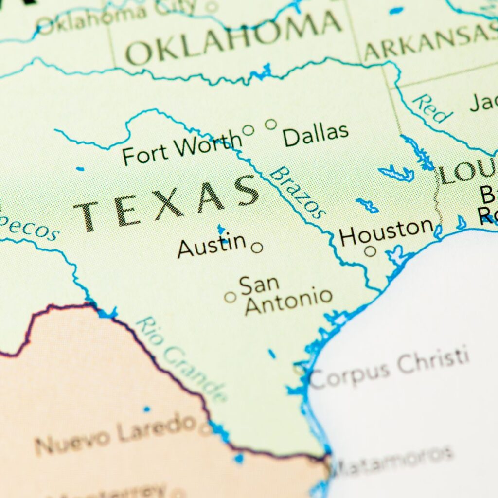 Exploring the Diverse Flora of Texas: Guide to Native Plants