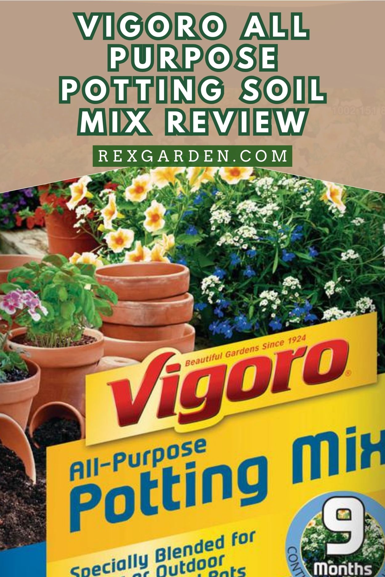 Vigoro Potting Soil Mix: A Review for Gardeners