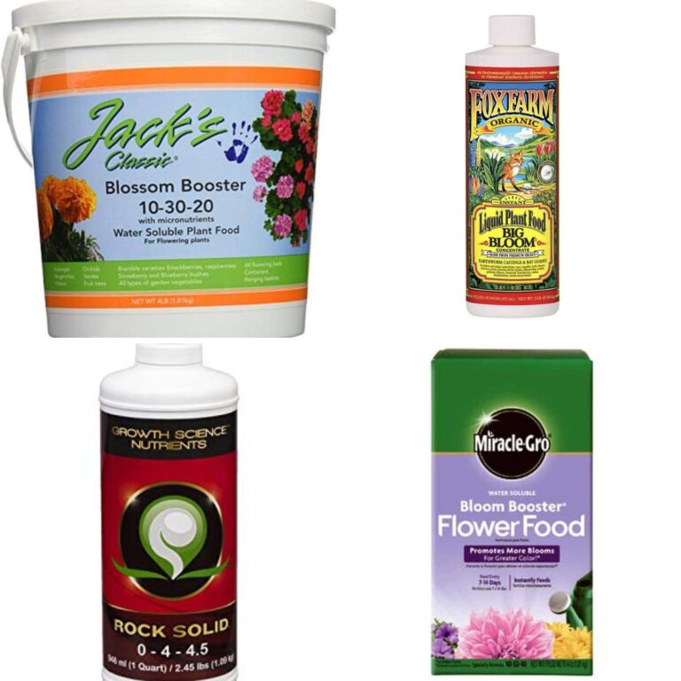 Best Bloom Booster: Maximize Yields and Quality